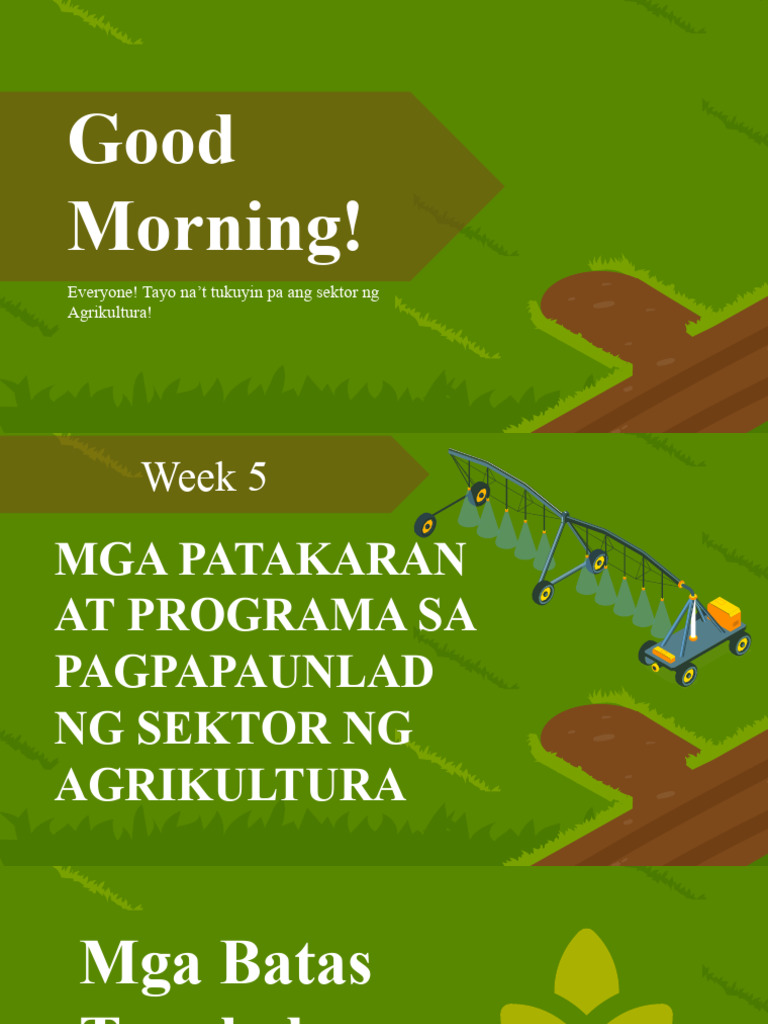 AP9 - Q4 - W5-Batas Tungkol Sa Lupa | PDF