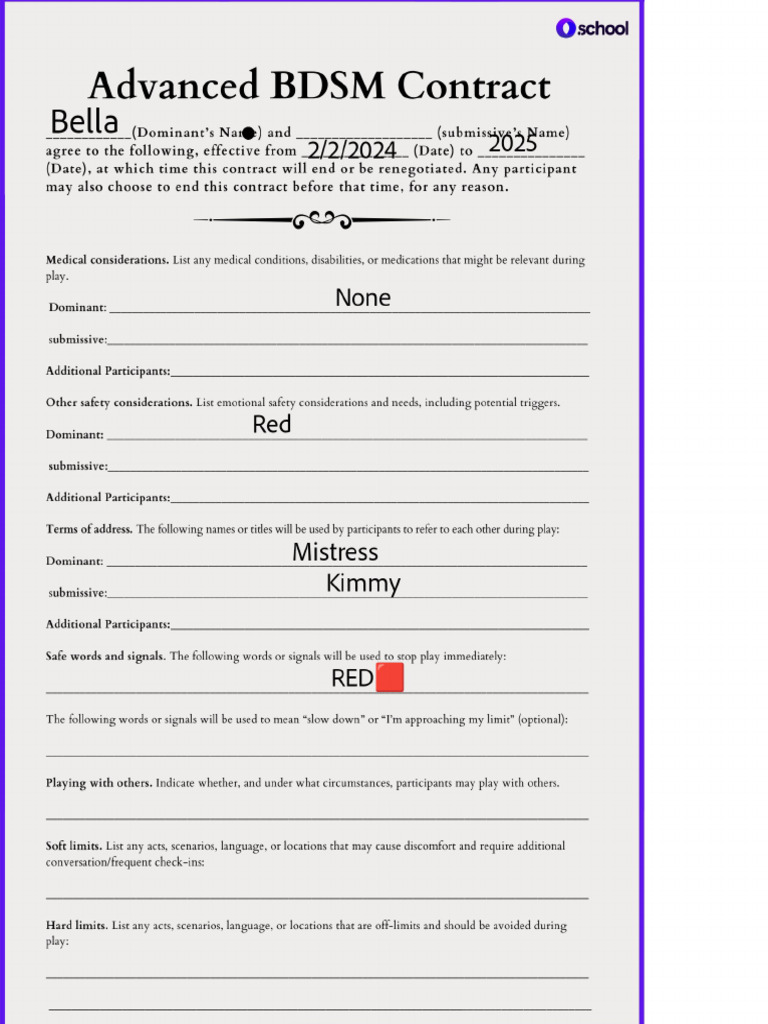 Advanced BDSM Contract? | PDF