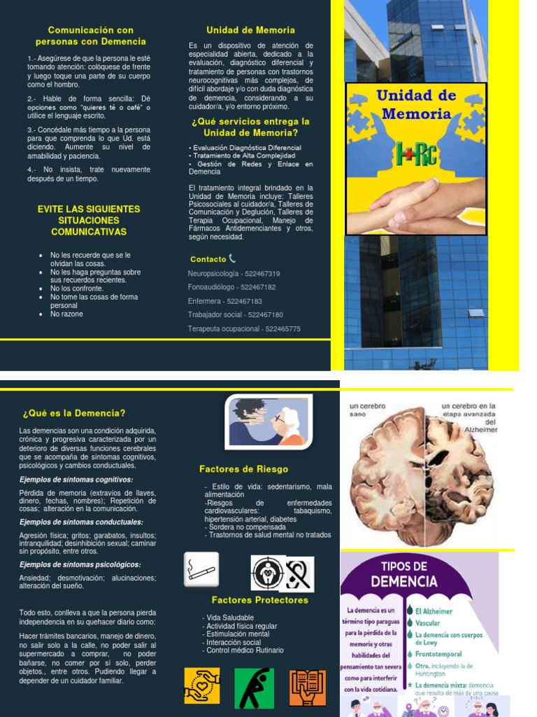 Triptico Stand Ok | PDF | Demencia | Terapia