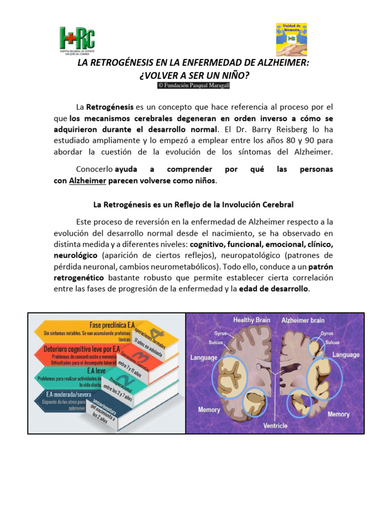 Retrogénesis en Alzheimer: Involución Cerebral | PDF | Enfermedad de ...