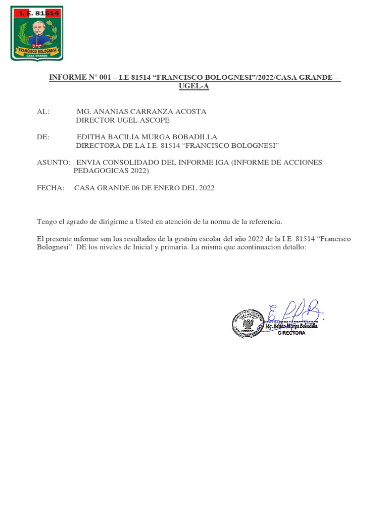 Informe de Gestión Escolar 2022 I.E. Bolognesi | PDF | Evaluación ...