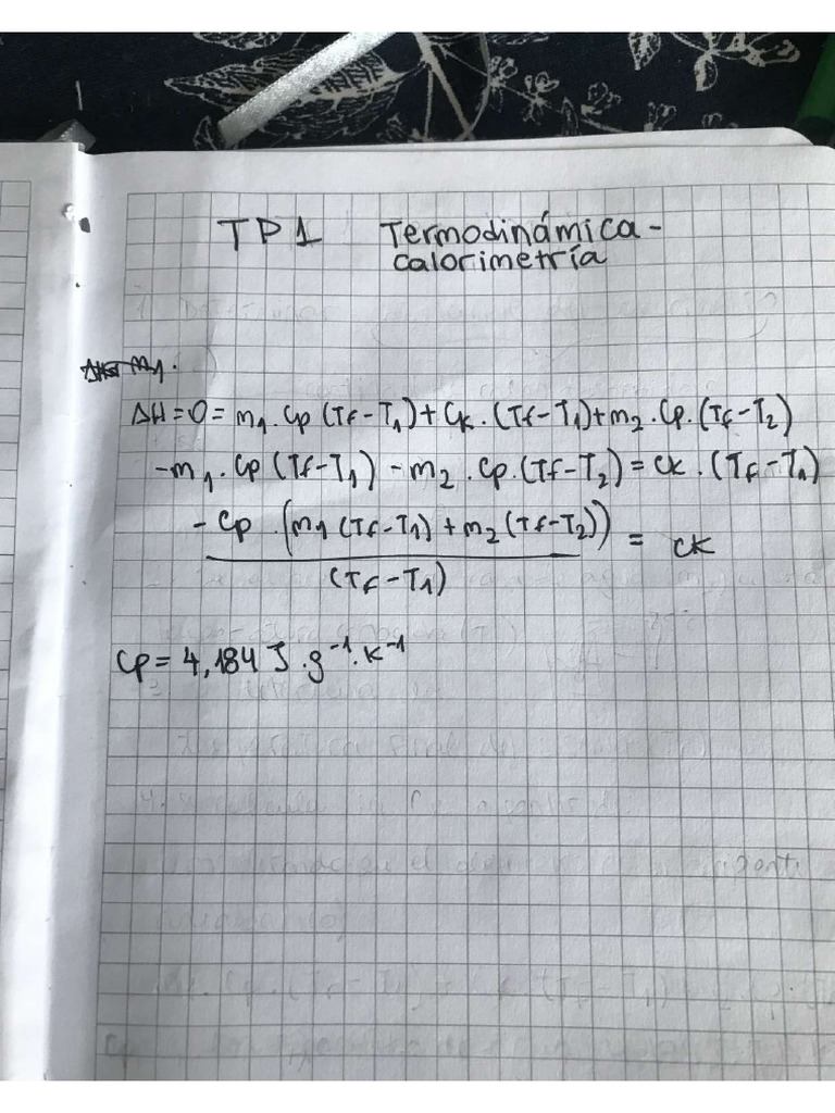 Esquema TP Termodinamica | PDF