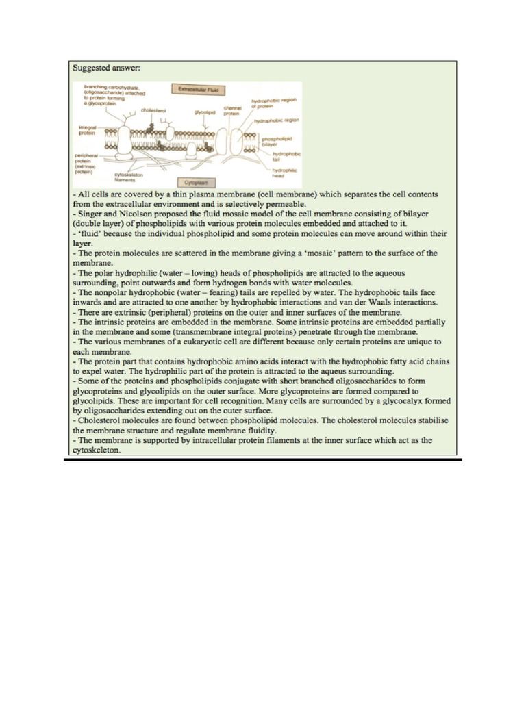 Bio Essay Past Year | PDF
