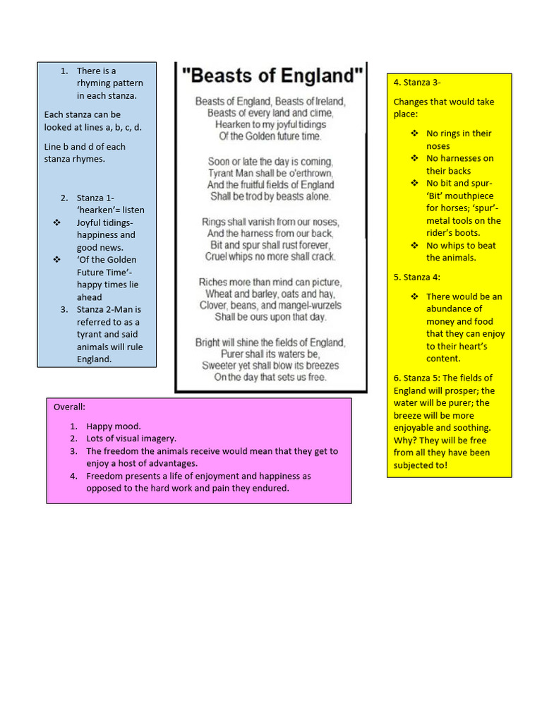 Beasts of England Analysis | PDF | Equestrianism | Horses