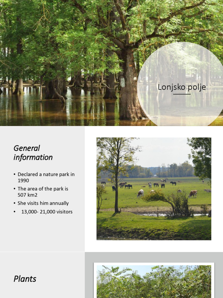 Lonjsko Polje Nature Park Guide | PDF | Travel
