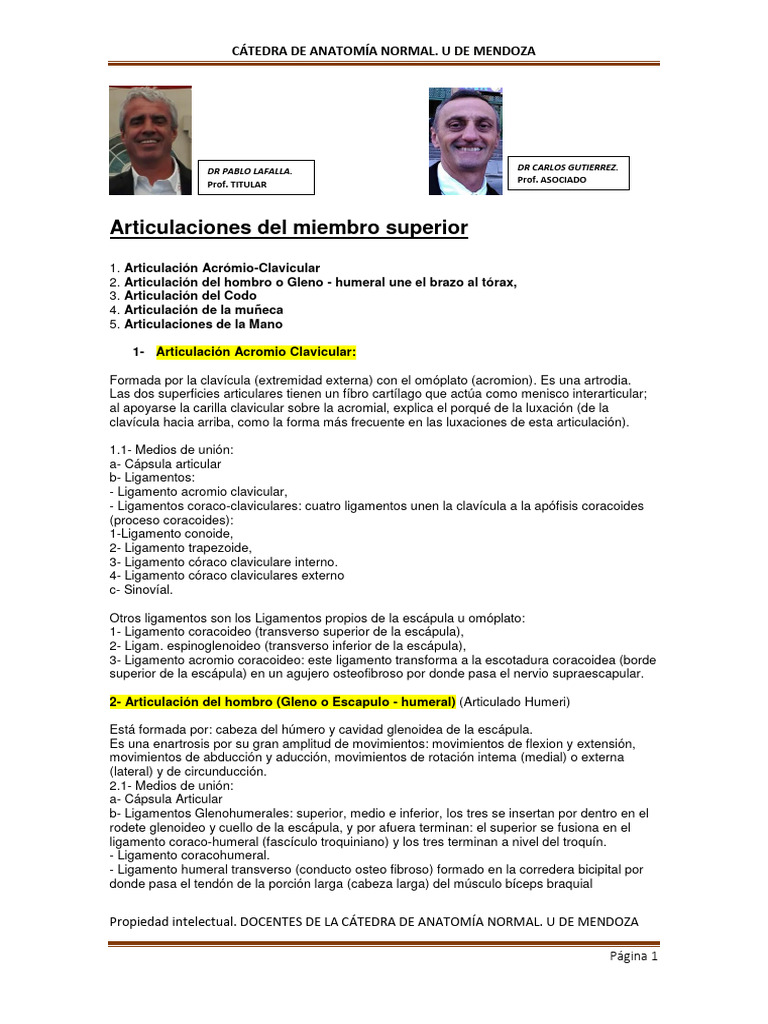2.MS Articulaciones | PDF | Mano | Codo