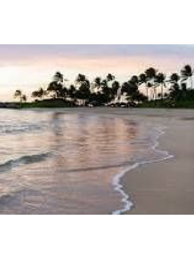 Nice Images | PDF