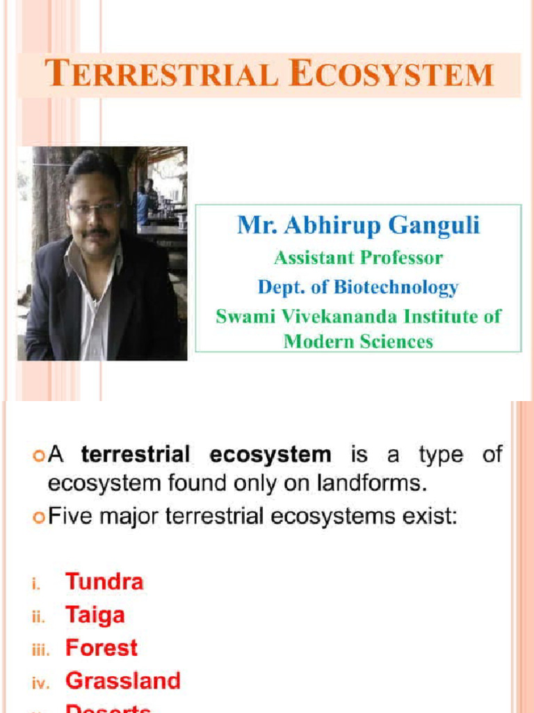 Terrestrial Ecosystem 240607333 | PDF