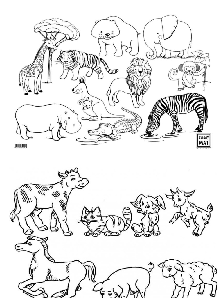 Animale Salbatice Domestice | PDF