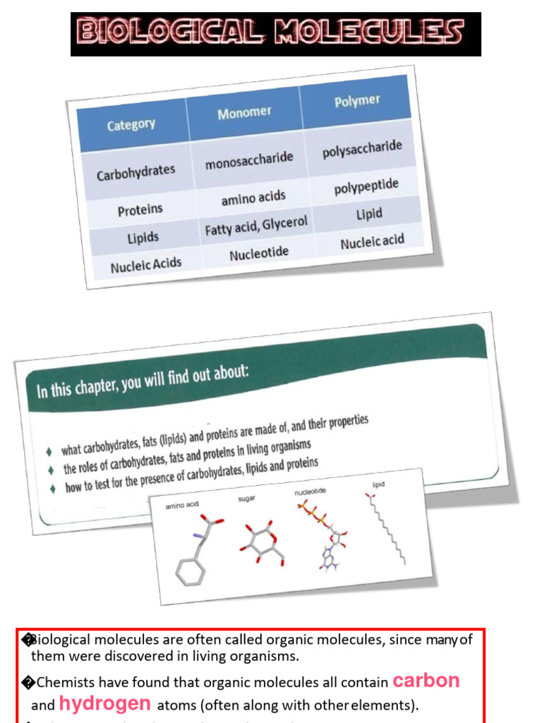 Biologicalmolecules Grade 10 Igcse Pdf Carbohydrates Glucose
