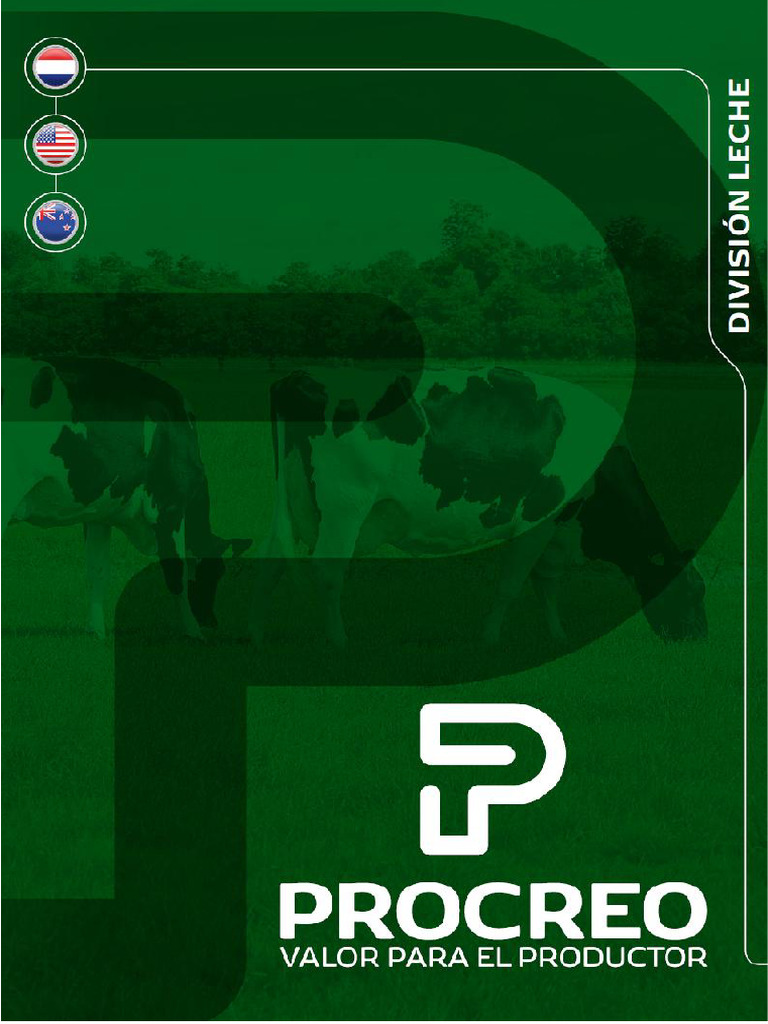 Catalogo Completo | PDF