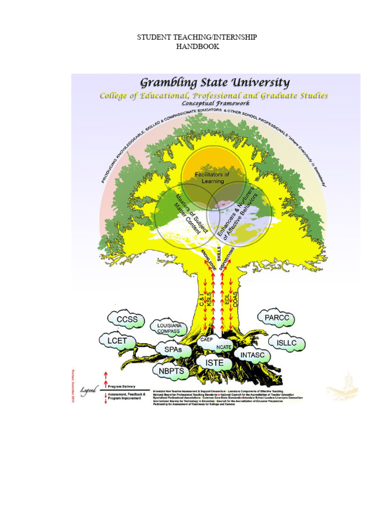 Student Teaching Handbook | PDF | Teachers | Learning