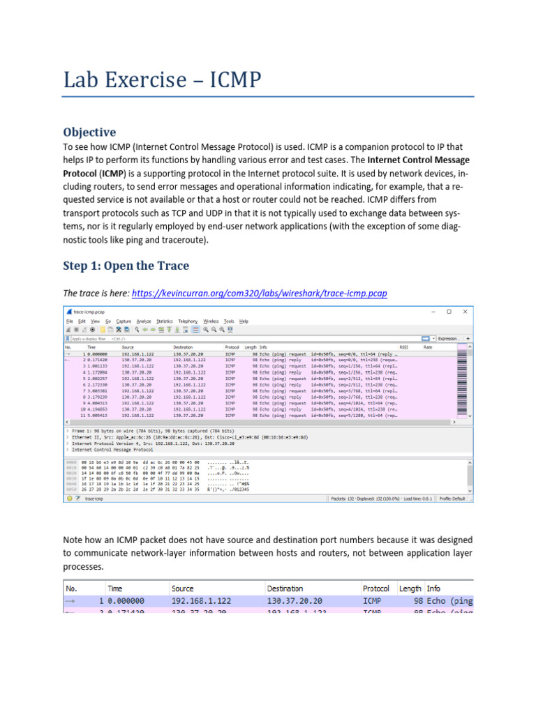 Lab-Icmp Wireshark Ref | PDF | Business | Computers