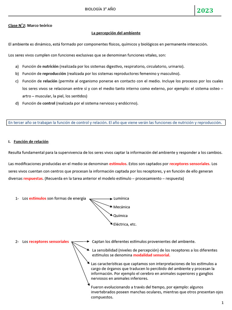 173973 Clase N2 Marco Terico | PDF | Sentidos | Secreción