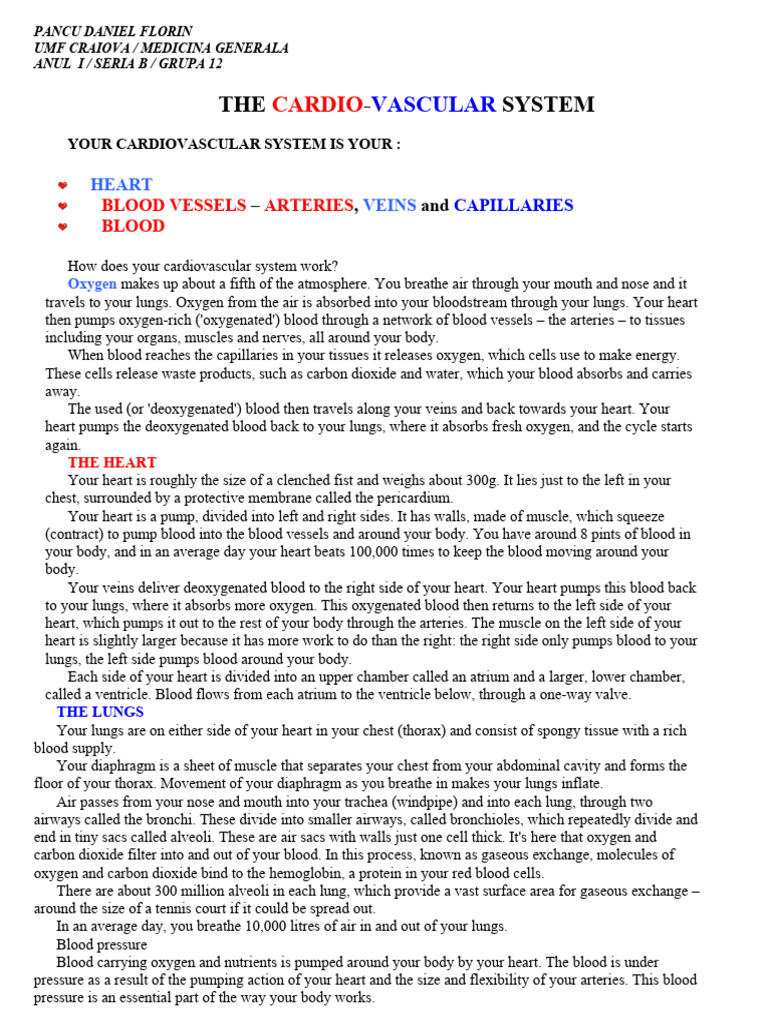 Cardiovascular System | PDF | Heart | Blood