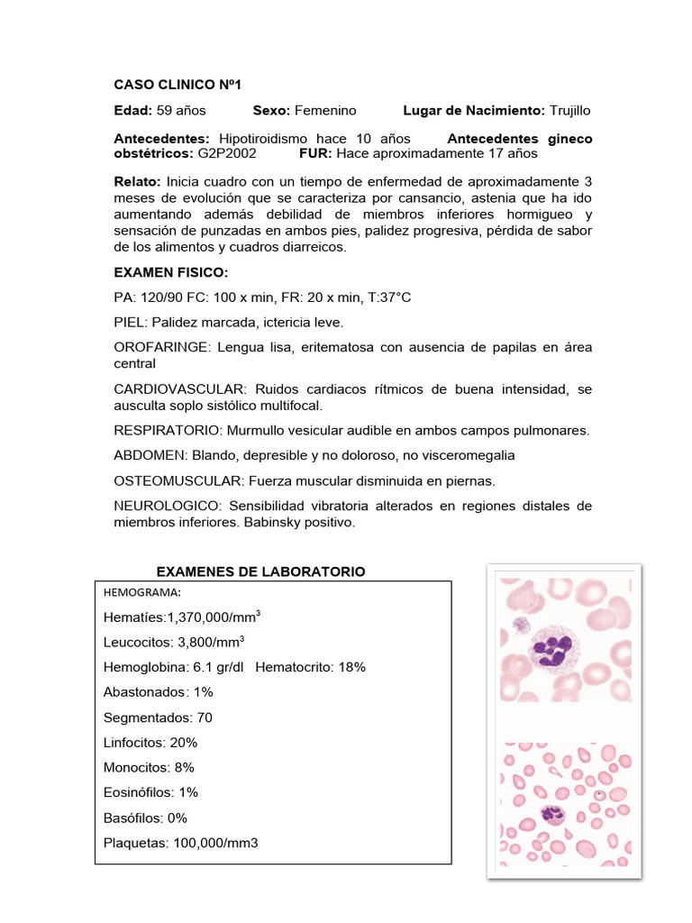 Caso Clinico Anemia Megaloblástica | PDF | Leucocito | Medicina CLINICA