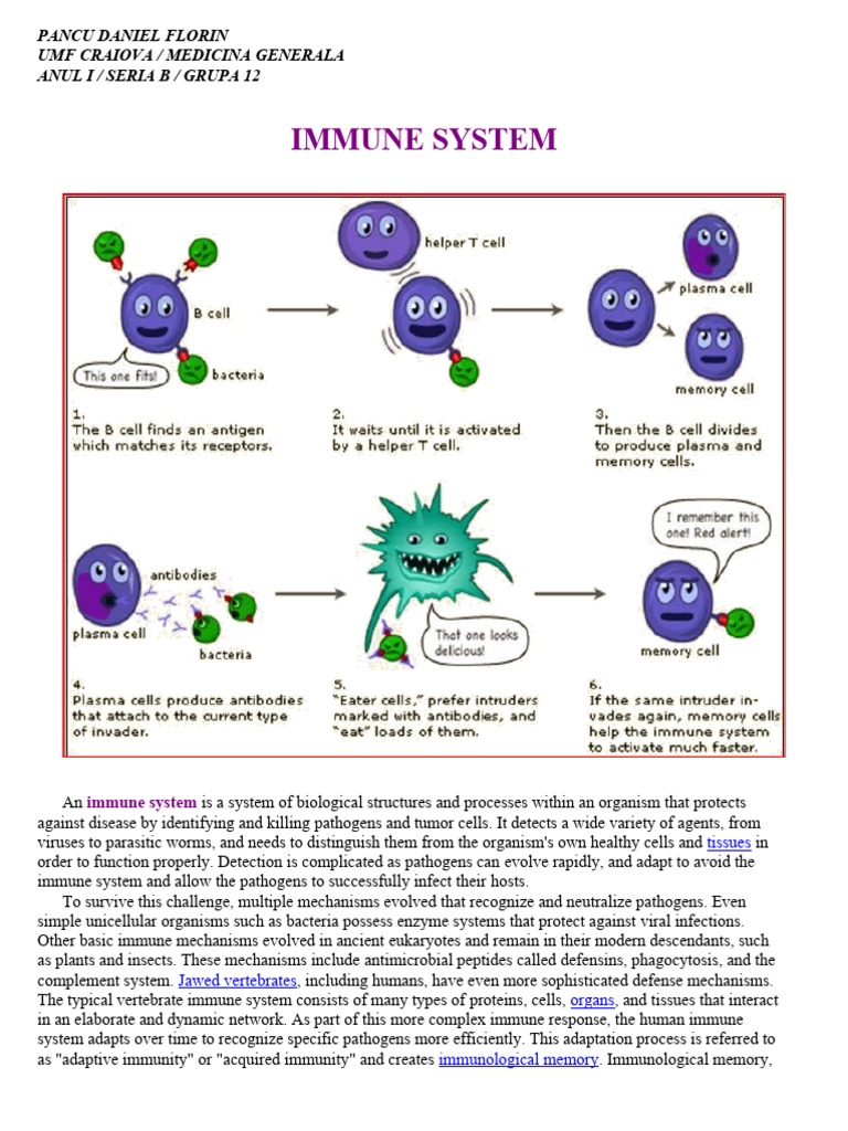 Immune System | PDF | Immune System | T Cell