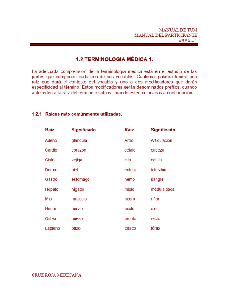 Terminología Médica Esencial | PDF | Términos anatómicos de ubicación ...