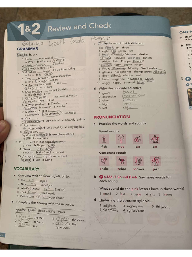Review 1 and 2 | PDF