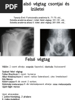 Csontok Latin Angol Magyar Lista | PDF
