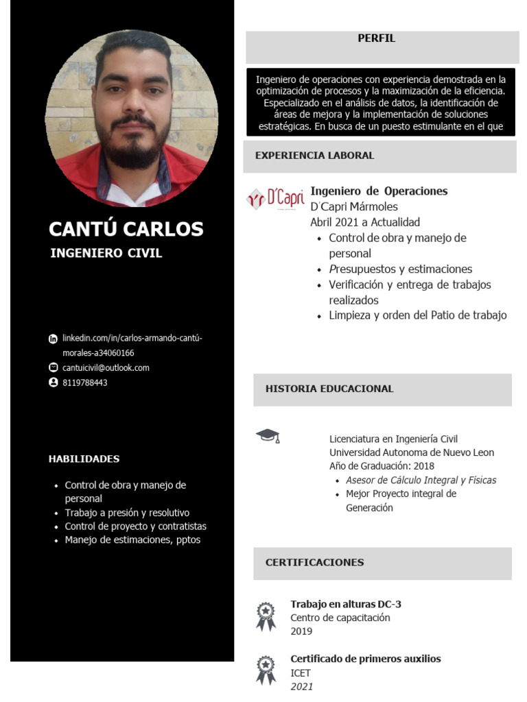Curriculum Vitae | PDF | Ingeniería