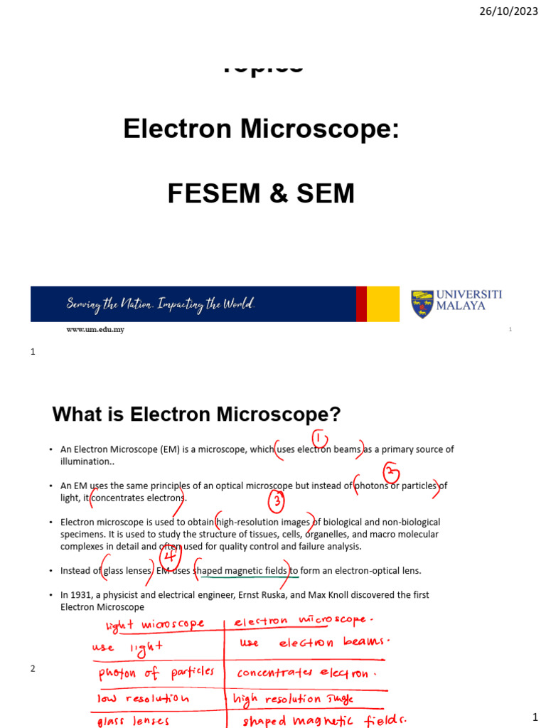 Electron Microscope | PDF | Scanning Electron Microscope | Electron ...