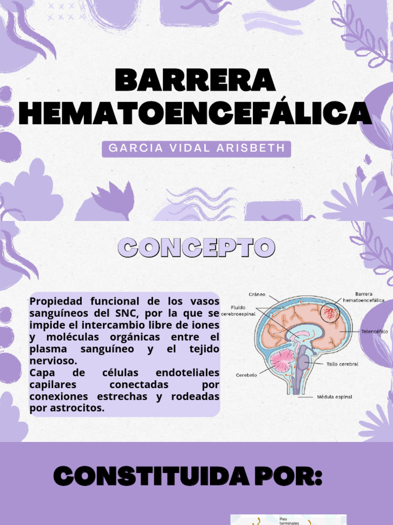 BARRERA HEMATOENCEFÁLICA Ex | PDF | Capilar | Órgano (anatomía)