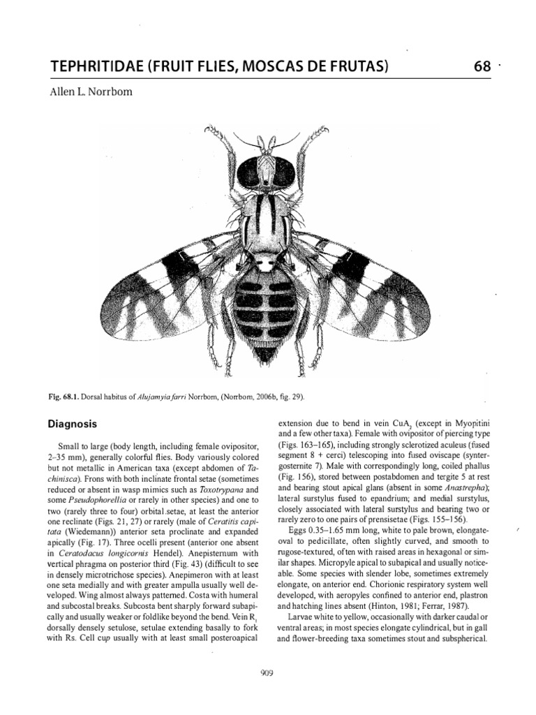 Manual of Central American Diptera V2 (OCR) | PDF