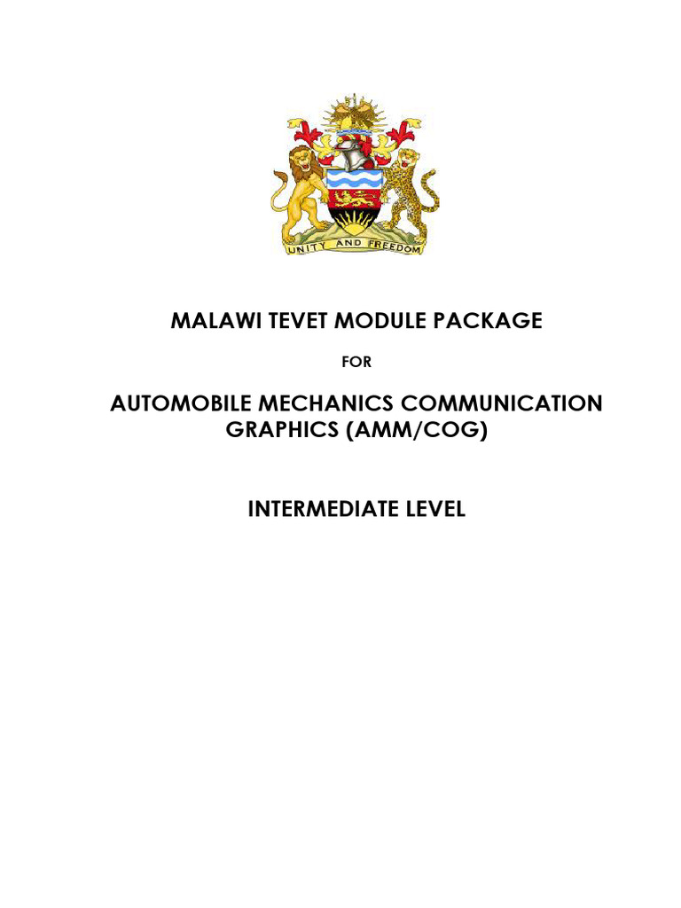 Amm Level 2 Cog MP Edited Final | PDF | Educational Assessment | Learning