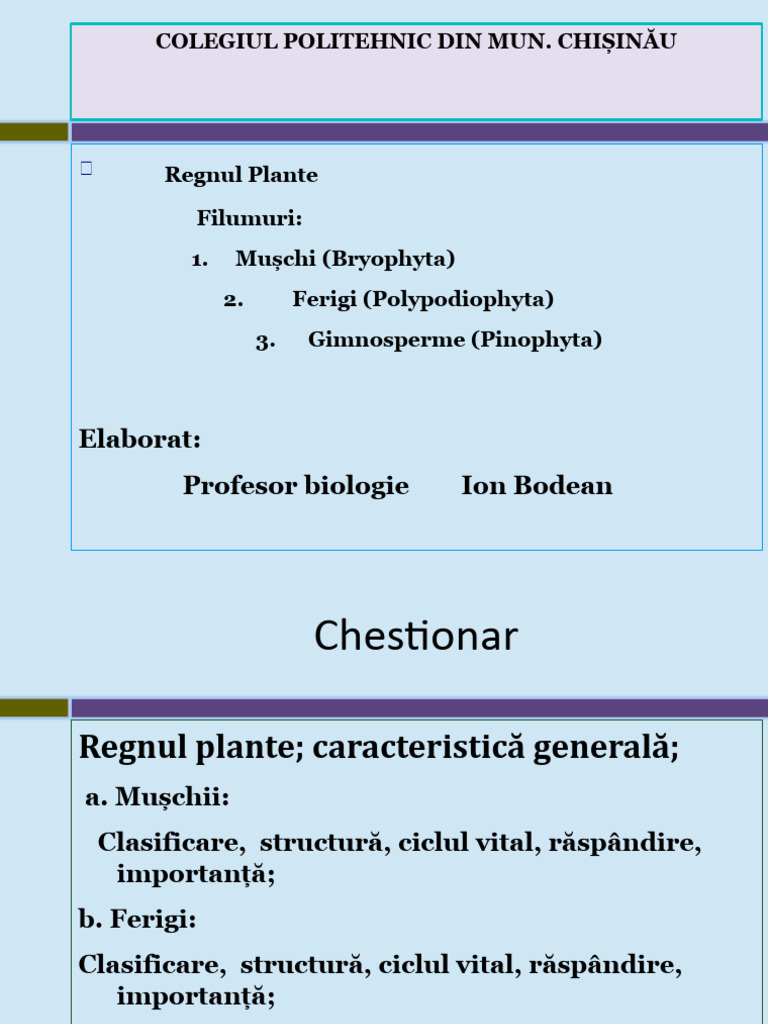 Muschi Ferigi Gimnosperme | PDF