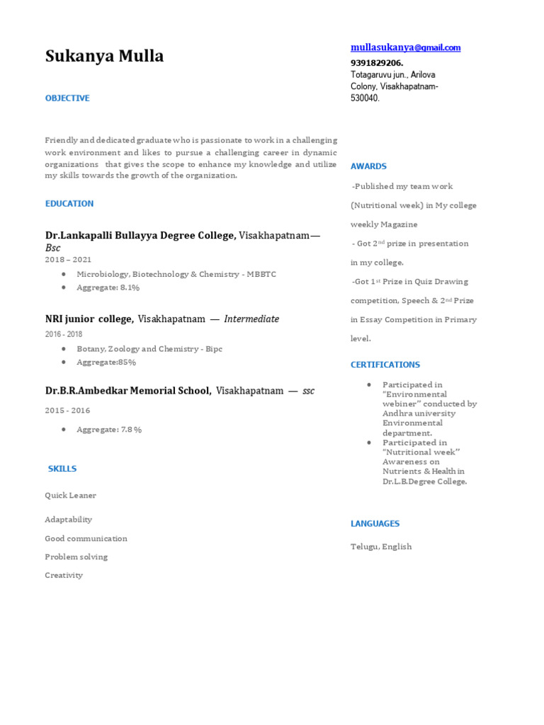 Mulla's Resume 2 | PDF