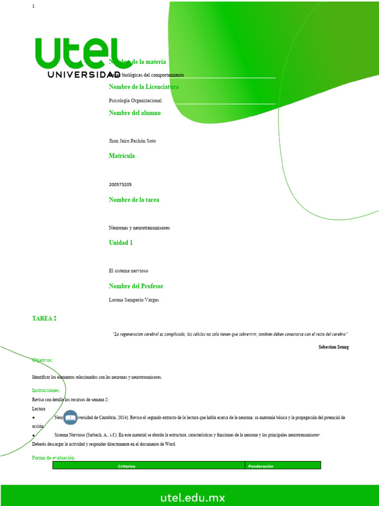 Tarea 2 (Terminada) | PDF | Neurona | Cerebro