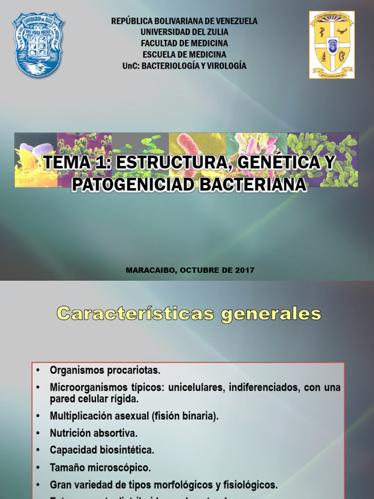 Tema 1 Estructura Genética y Patogenicidad Bacteriana 2017 | PDF