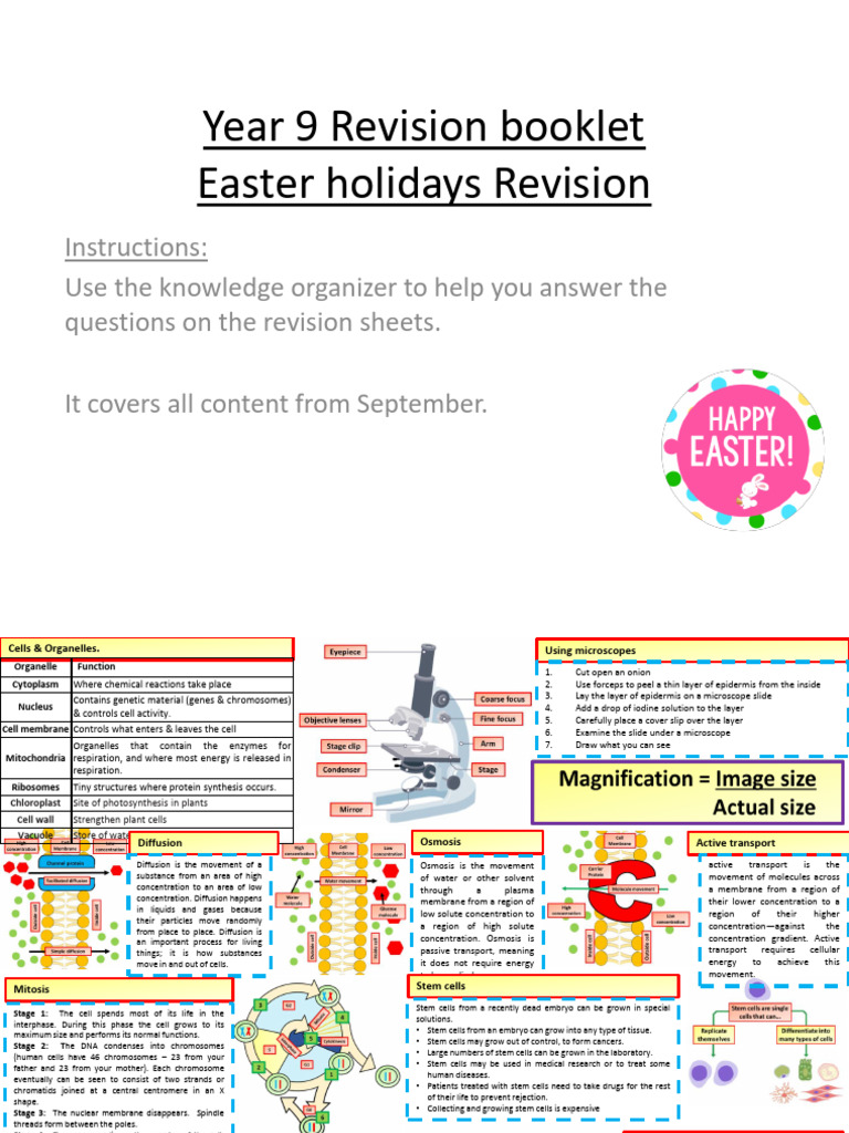 Year 9 Biology Revision Guide | PDF | Artery | Cell (Biology)