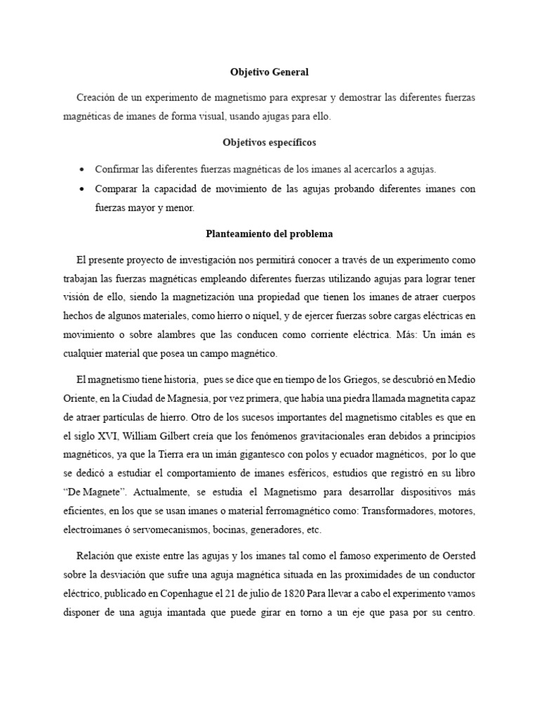 Experimento Visual de Magnetismo | PDF | Imán | Magnetismo