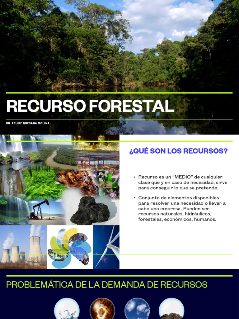2 Recurso Forestal | PDF | Los bosques | Sustentabilidad