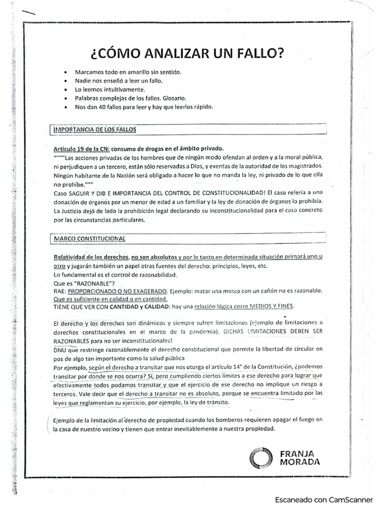 Cómo Analizar Un Fallo | PDF