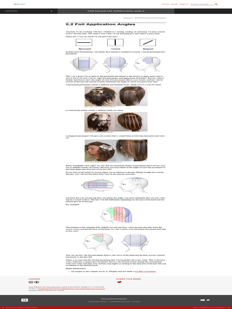 5.2 Foil Application Angles - Hair Colour For Hairstylists: Level 2 | PDF
