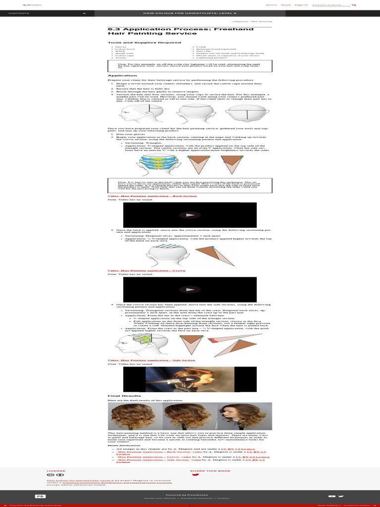6.3 Application Process: Freehand Hair Painting Service - Hair Colour ...