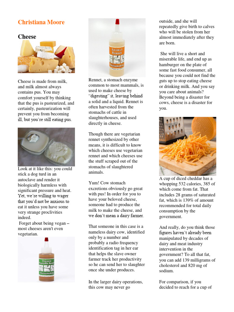 Cheese | PDF | Cheese | Foods