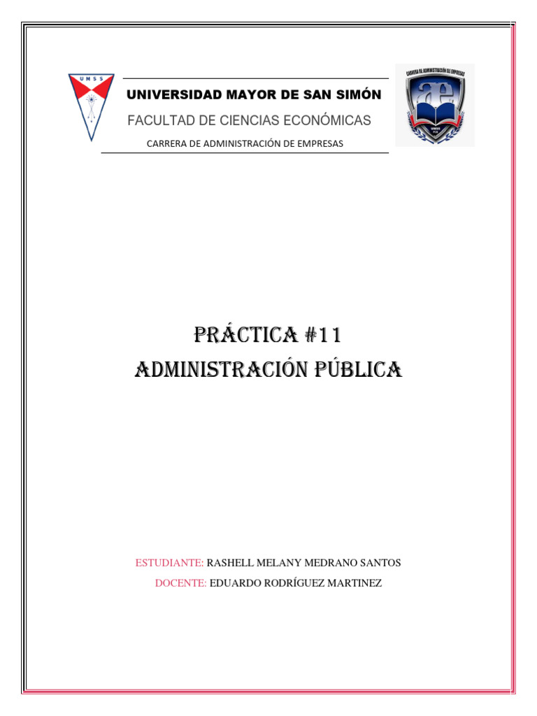 Práctica-11 Adm. Pub | PDF