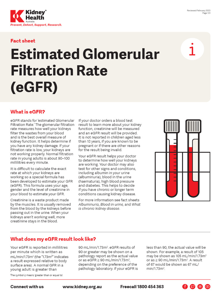 Understanding eGFR and Kidney Health | PDF | Chronic Kidney Disease ...