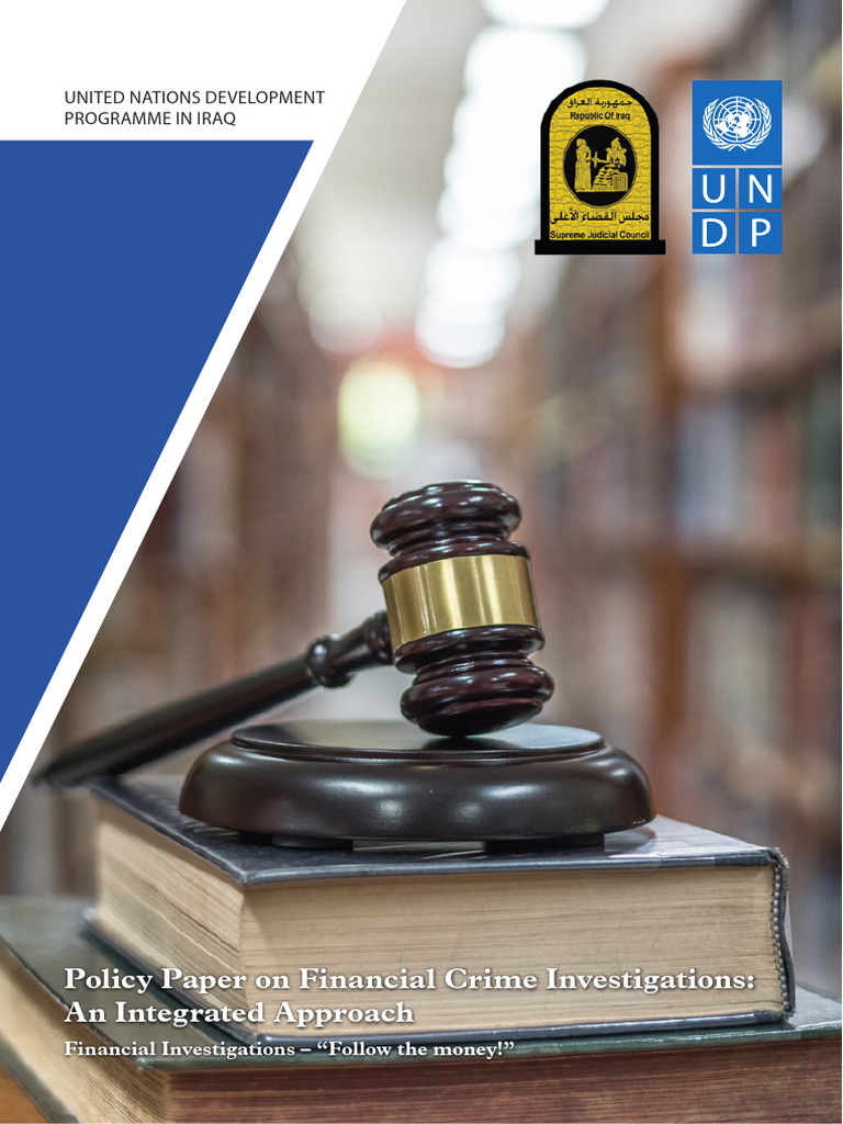 UNDP IQ 55065 Financial Crime Policy Brief EN Final | Download Free PDF ...