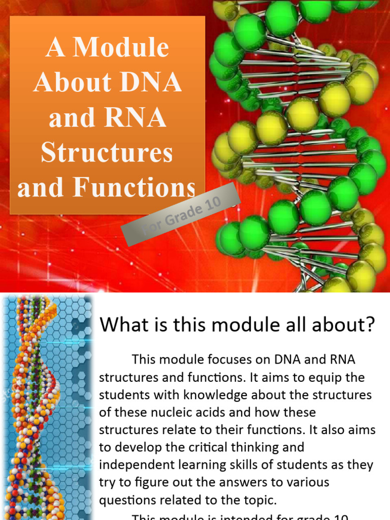 Dna and Rna Structure | PDF | Rna | Nucleic Acids