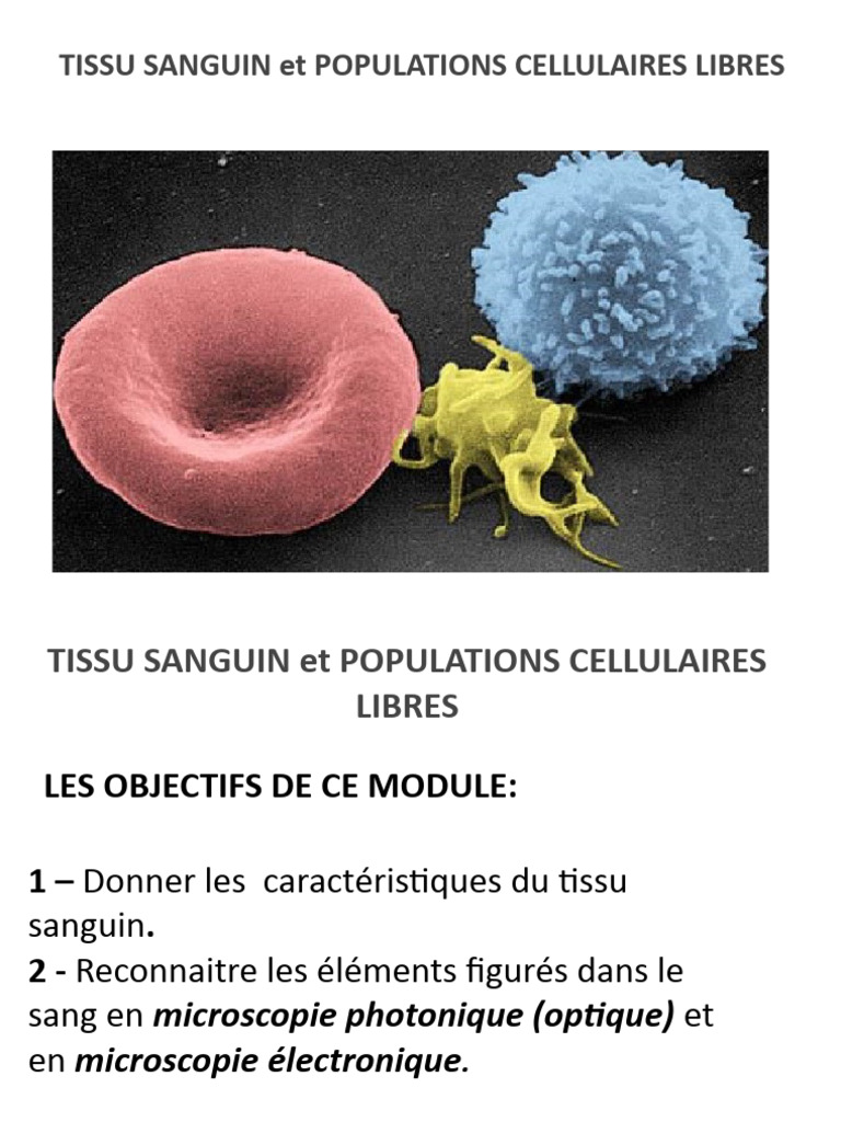 Tissu Sanguin | PDF | Globule rouge | Cellule (Biologie)