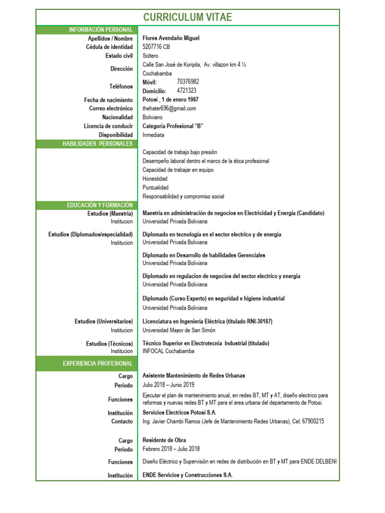 Cv Resumen | PDF | Ingeniería | Ingenieria Eléctrica