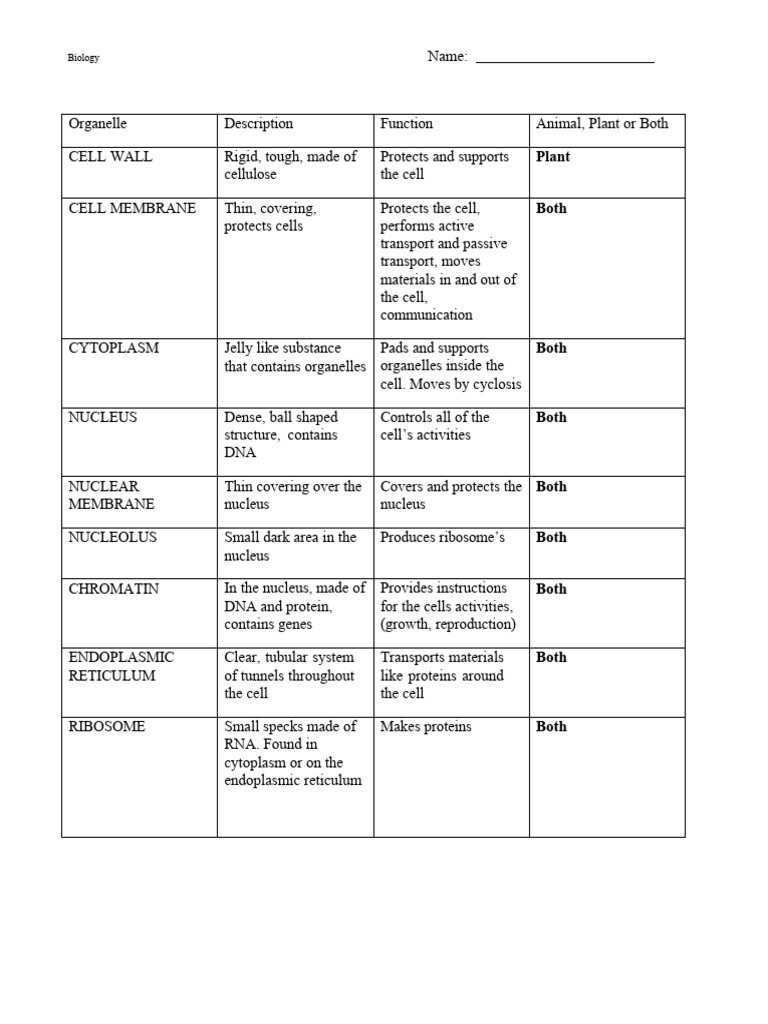 Cell Organelles Worksheet | PDF | Wellness | Science & Mathematics