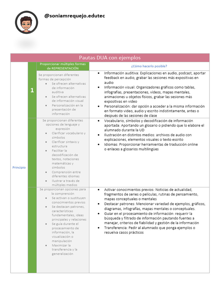 3.pautas Dua Con Ejemplos.2022 | PDF | Infografia | Información 3.pautas Dua Con Ejemplos.2022 | PDF | Infografia | Información