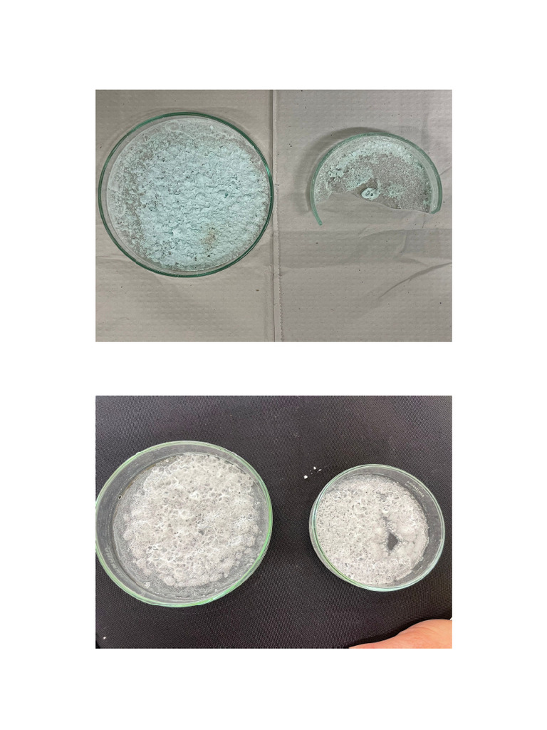 Design Sem Nome | PDF