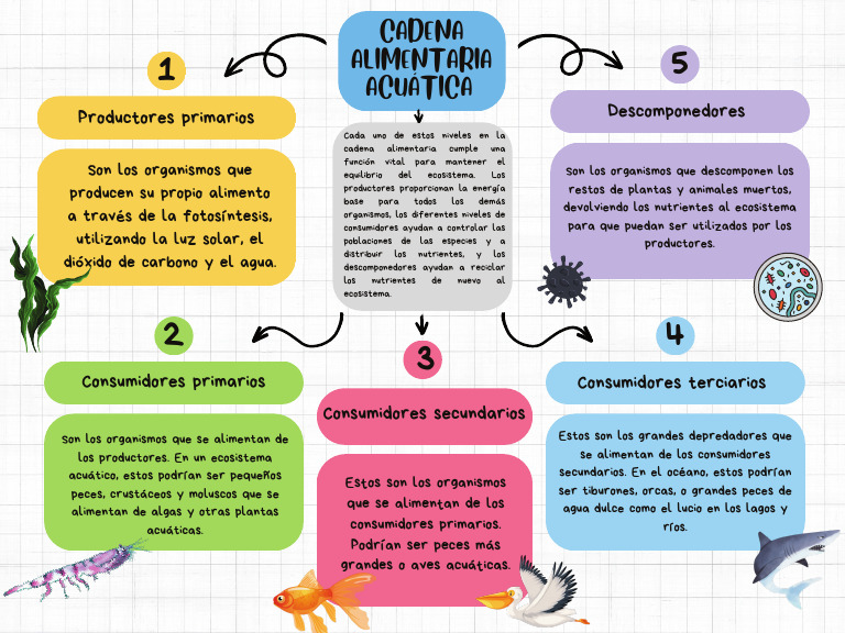 Cadena alimentaria acuatica | PDF | Nutrientes | Ciencias de la Tierra